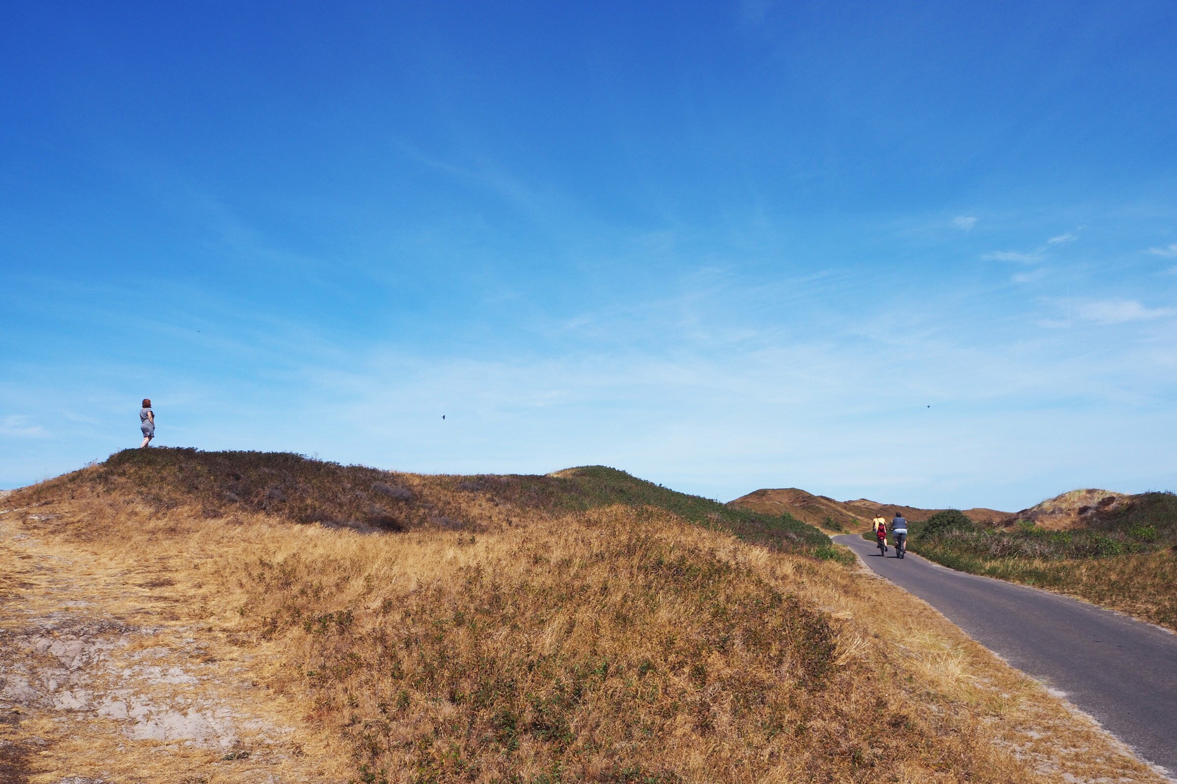 Relații interumane eșuate | Dana rozMarin